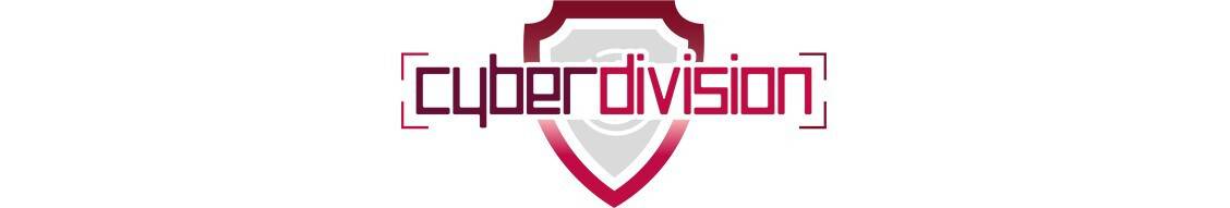 Meet Cody Burns of the Cyber Division - Datamills